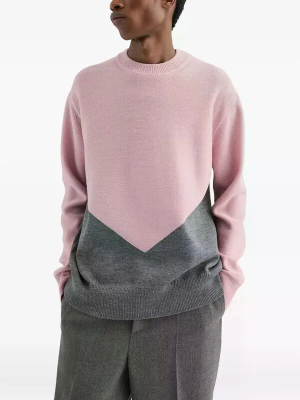 JIL SANDER Colourblock Sweater - Pink