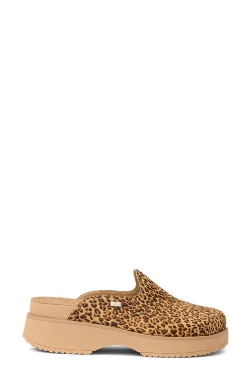 Reef Vista Skye Platform Clog - Leopard