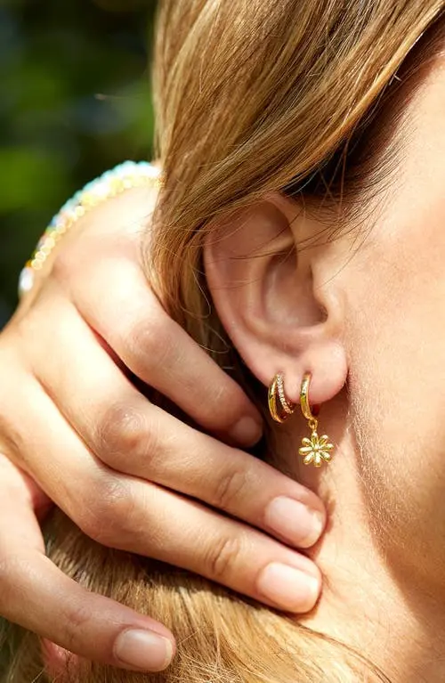 Estée Lauder Double Illusion Hoop Earrings