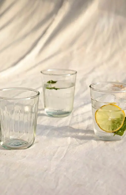 THE COLLECTIVE HOME Hudson Short Glassesset Of 6