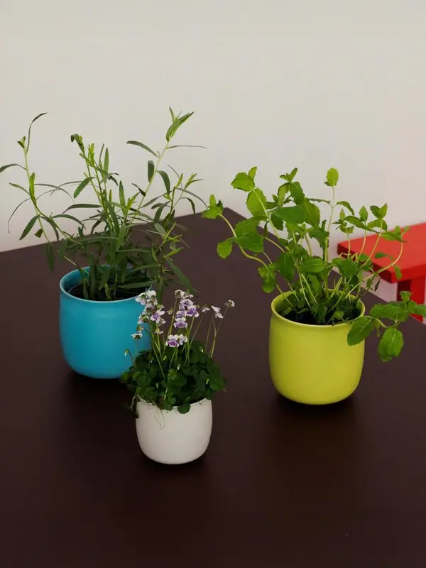 RAAWII Vases Lifestyle - Gnawed Blue