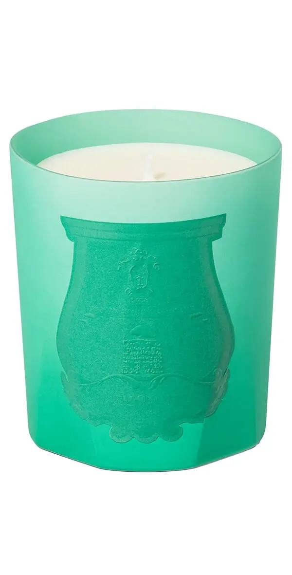 TRUDON Under The Trees Candle 270 - Herbal Influsion