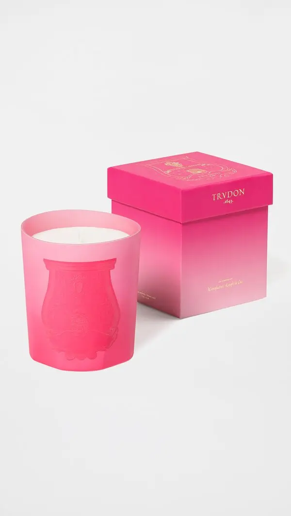 TRUDON Summer Haze Candle 270