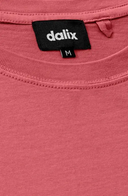 DALIX Astronaut Midweight Garment Dye Tee - Shiraz