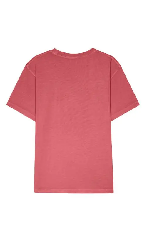 DALIX Astronaut Midweight Garment Dye Tee - Shiraz