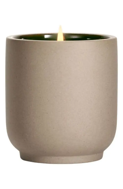 HOMECOURT Signature Candle - Neroli Leaf