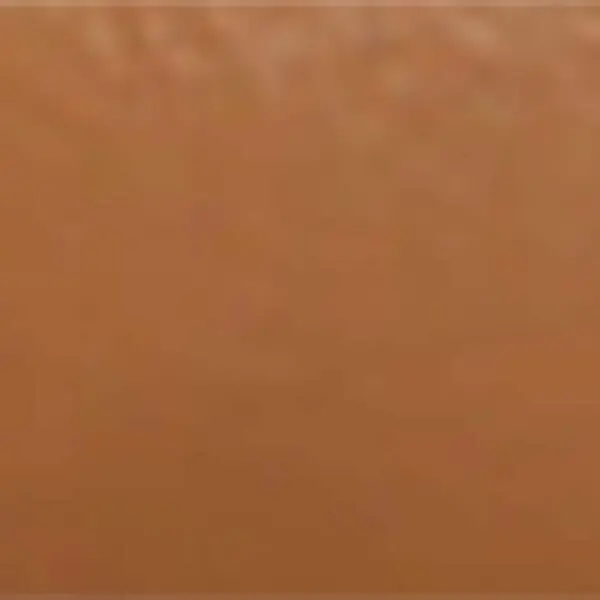 Paris Texas Leather Lidia Mules 105