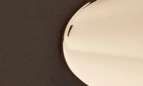 Treasure & Bond Tatum Stud Leather Belt - Brown Java