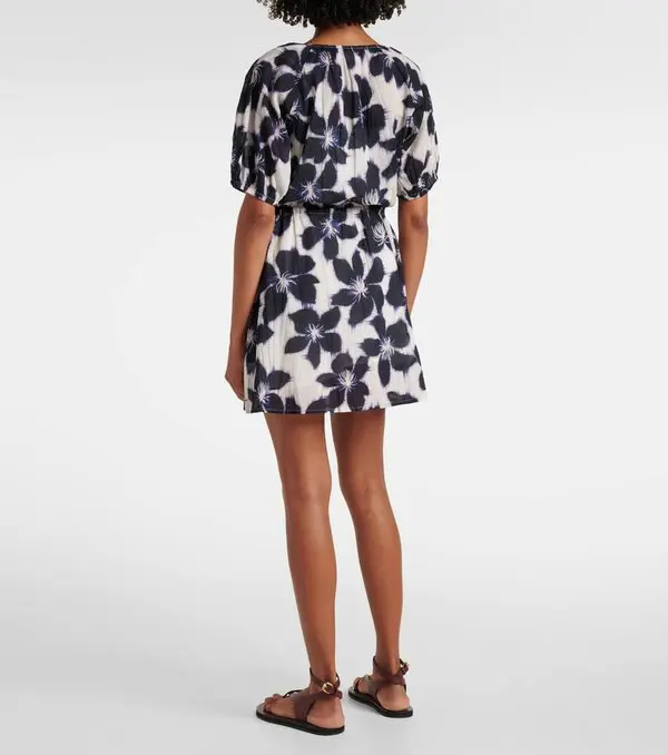 Velvet By Graham & Spencer Hazel Floral Cotton Voile Minidress