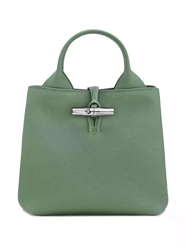 Longchamp Le Roseau S Handbag - Green