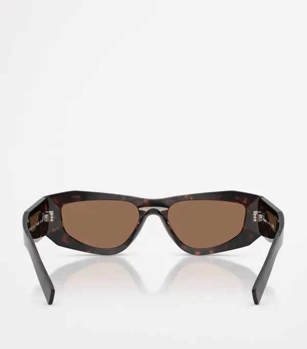 Prada Acetate Pr B19s Sunglasses - Brown