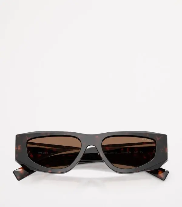 Prada Acetate Pr B19s Sunglasses - Brown