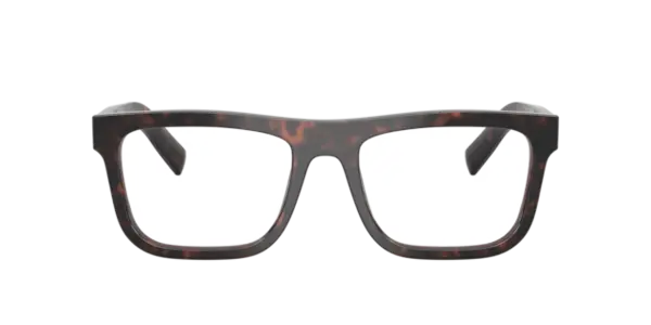 Prada Eyeglasses - Root Tortoise