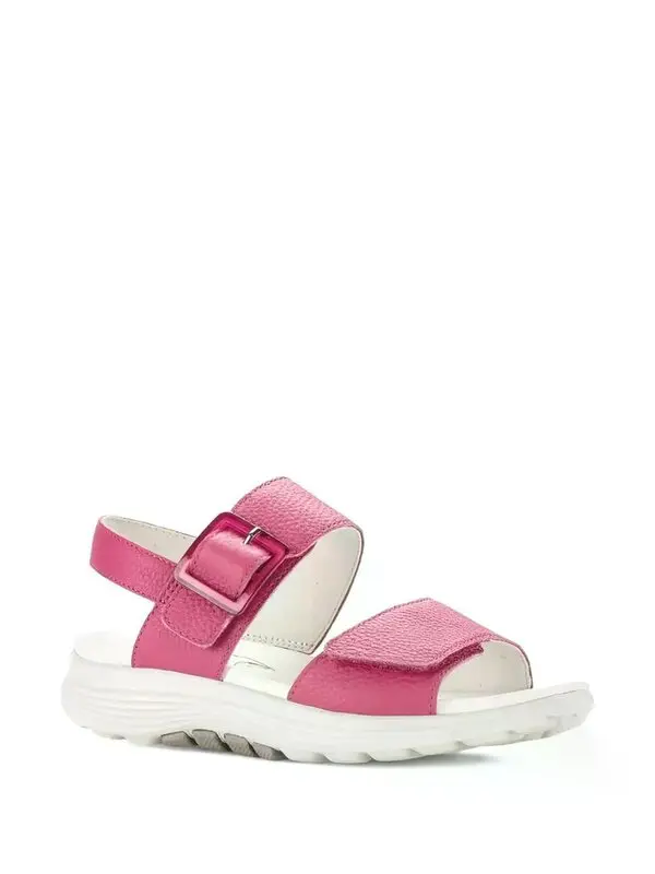 Gabor Buckle-strap Flat Sandals
