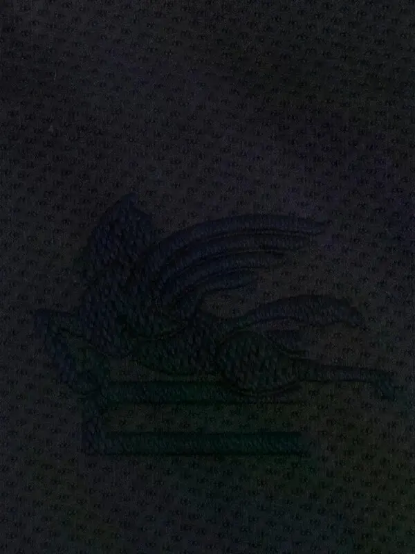 Etro Logo-embroidered Scarf