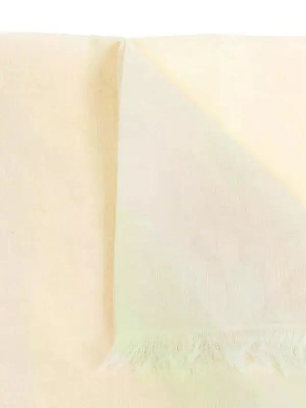 Etro Frayed-edge Scarf - Neutrals