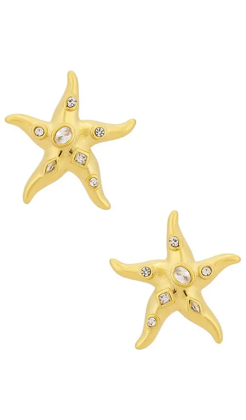 CASA CLARA Marley Starfish Earrings - Gold