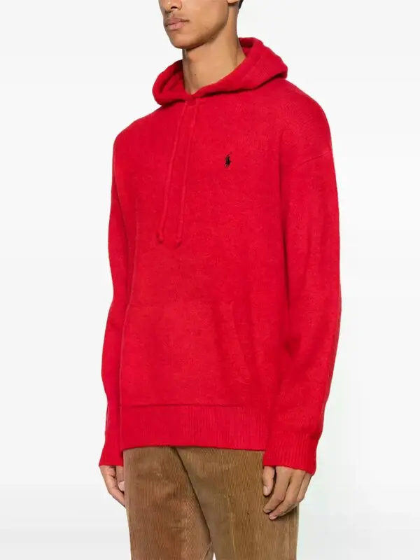 Polo Ralph Lauren Hooded Pullover With Embroidered Pony