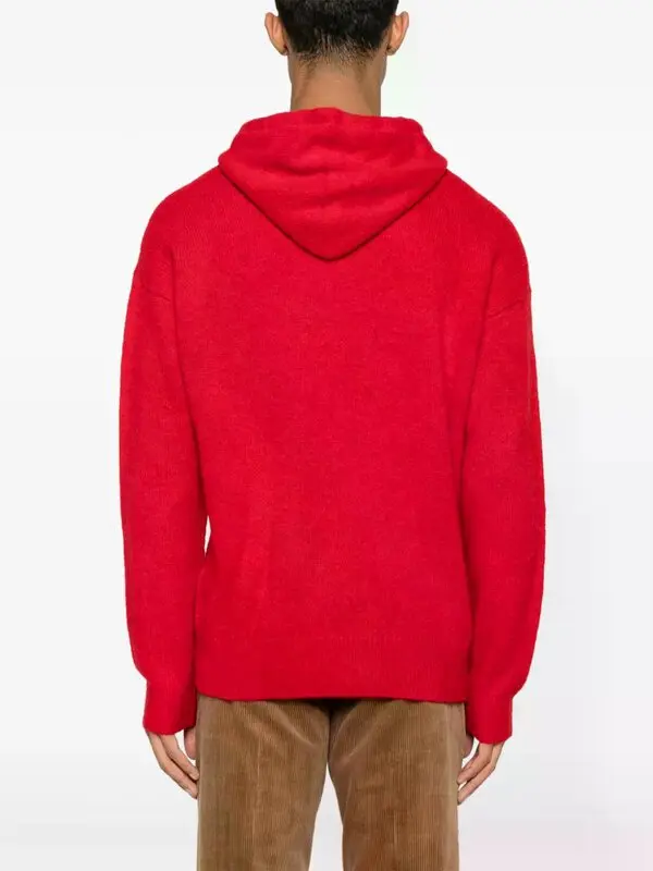 Polo Ralph Lauren Hooded Pullover With Embroidered Pony