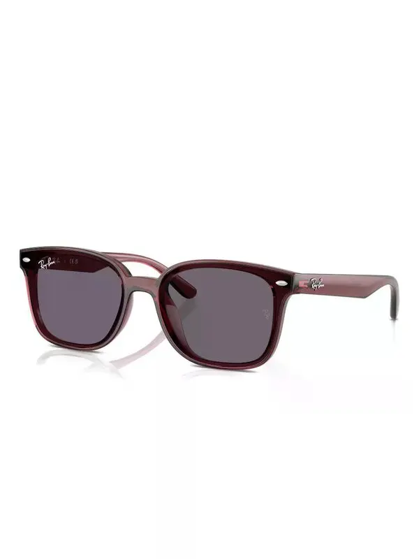 Ray-ban Sunglasses With Square Frame