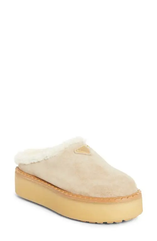 Prada Evolve Genuine Shearling Clog - Deserto