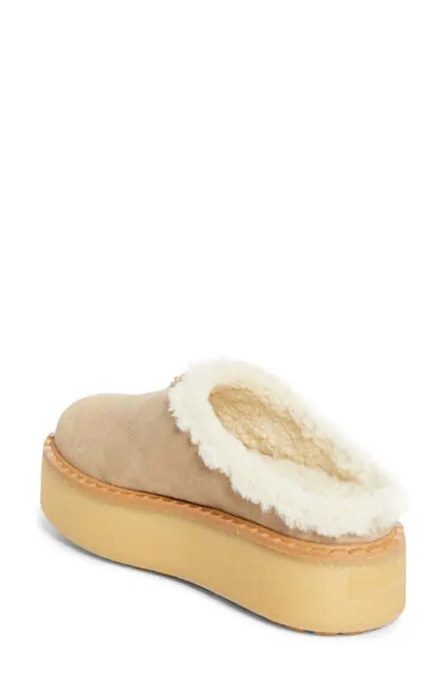 Prada Evolve Genuine Shearling Clog - Deserto