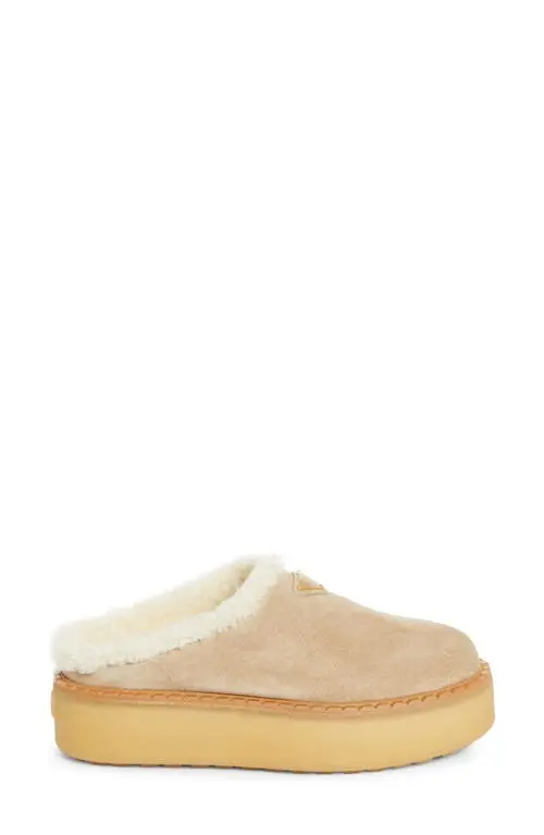 Prada Evolve Genuine Shearling Clog - Deserto