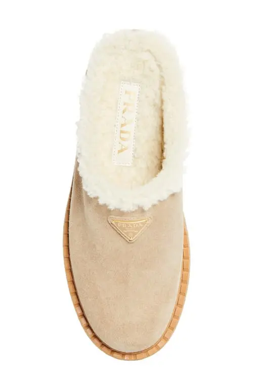 Prada Evolve Genuine Shearling Clog - Deserto