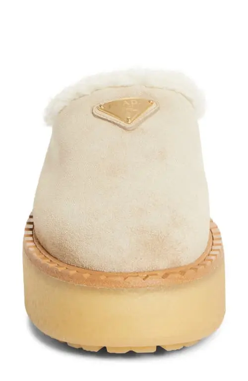 Prada Evolve Genuine Shearling Clog - Deserto