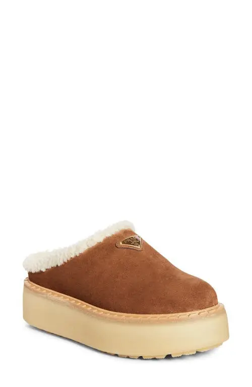 Prada Evolve Genuine Shearling Clog - F0324 Cacao