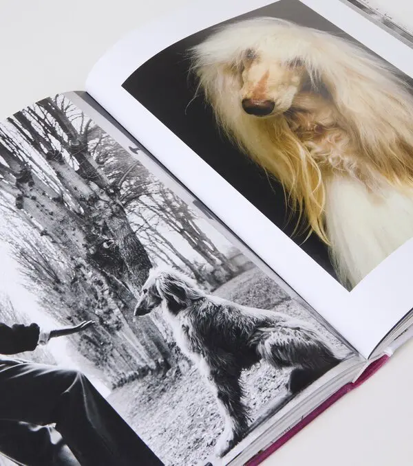 Assouline Chic Dogs Book - Multicoloured