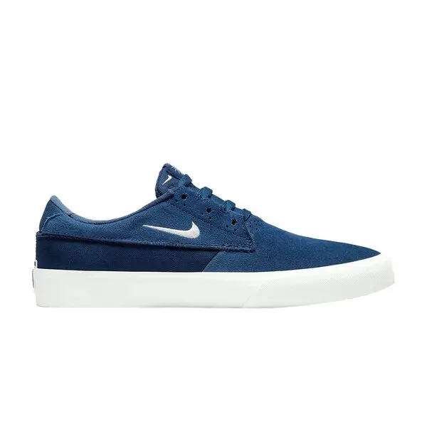 Nike Shane Sb Sneakers - Blue