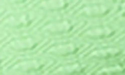 Roxy Haliewa Built Up Triangle Bikini Top - Vibrant Green