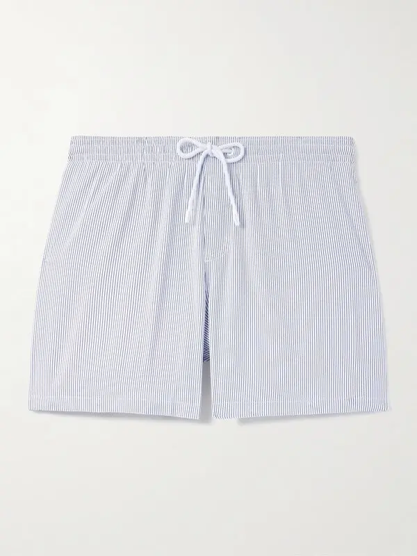 Loro Piana Daneu Striped Swim Shorts - Blue