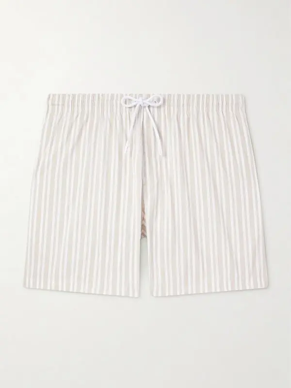 Loro Piana Daneu Striped Swim Shorts - Neutrals