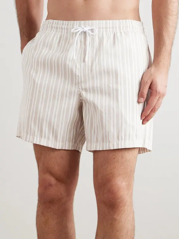 Loro Piana Daneu Striped Swim Shorts - Neutrals