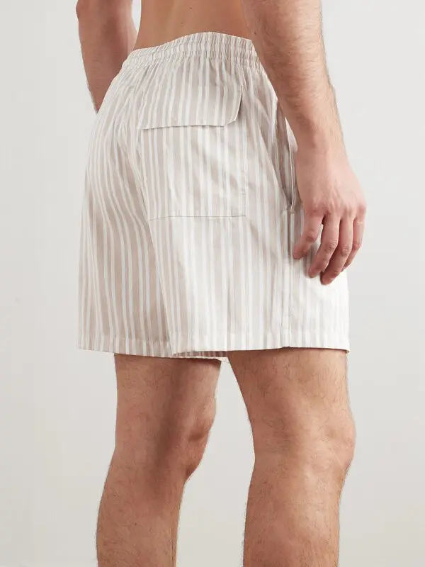 Loro Piana Daneu Striped Swim Shorts - Neutrals