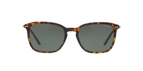 Giorgio Armani Ar8111 Sunglasses