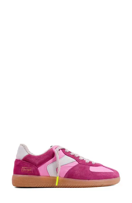 SHU SHOP Sylvia Lace-up Sneakers