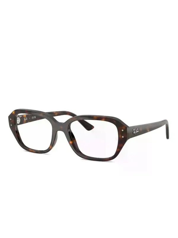 Ray-ban Tortoiseshell Oversized Eyeglasses