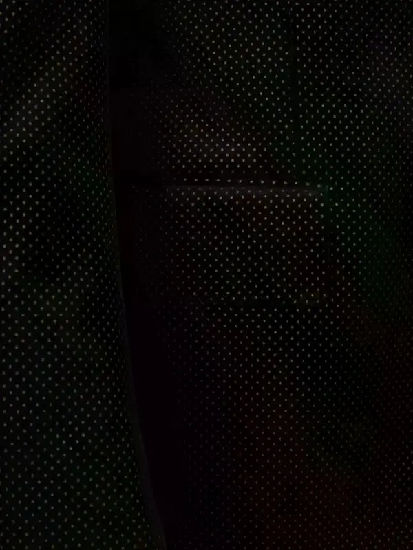 TOM FORD Dylan Blazer