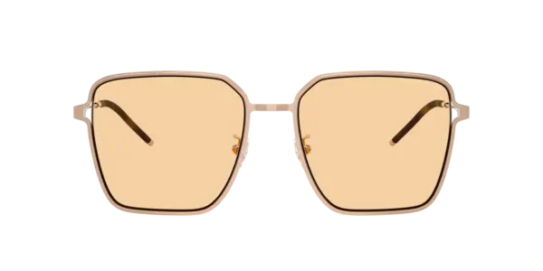 Emporio Armani Ea2159d Sunglasses