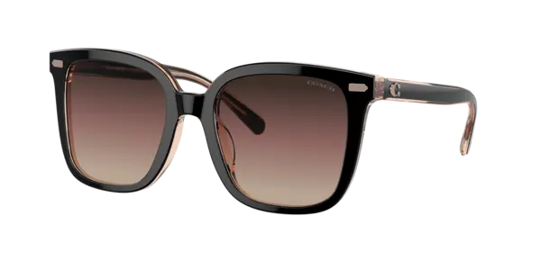 COACH Full Rim Sunglasses - Violet