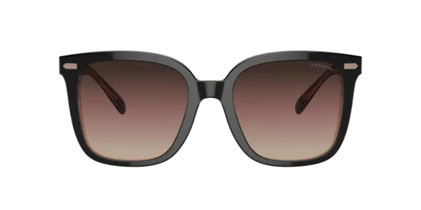 COACH Full Rim Sunglasses