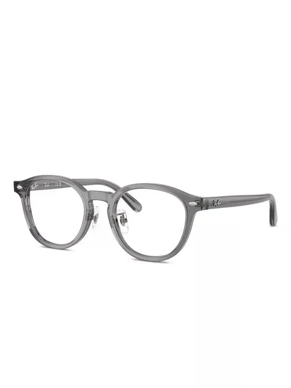 Ray-ban Round-frame Glasses