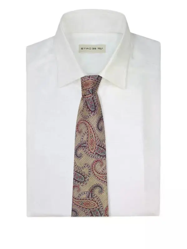 Etro Paisley Pattern Neck Tie - Neutrals