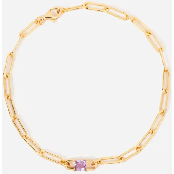 LITTLE SKY STONE Birthstone Paperclip Chain Bracelet - Amethyst
