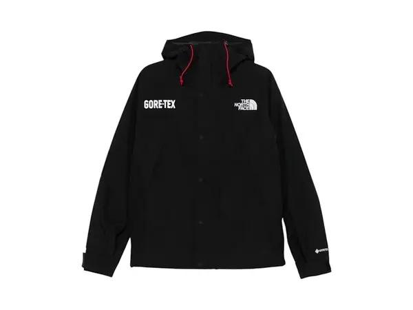 The North Face Gtxountain Jacket