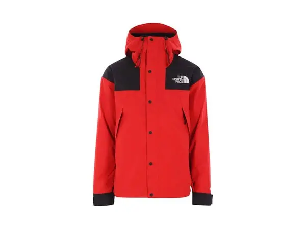 The North Face Gtx Mountain Jacket