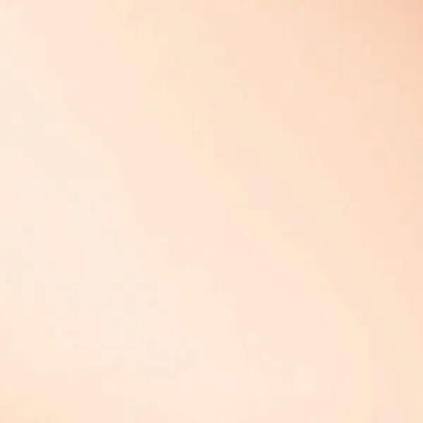 Dior Le Cushion Teint De Rose